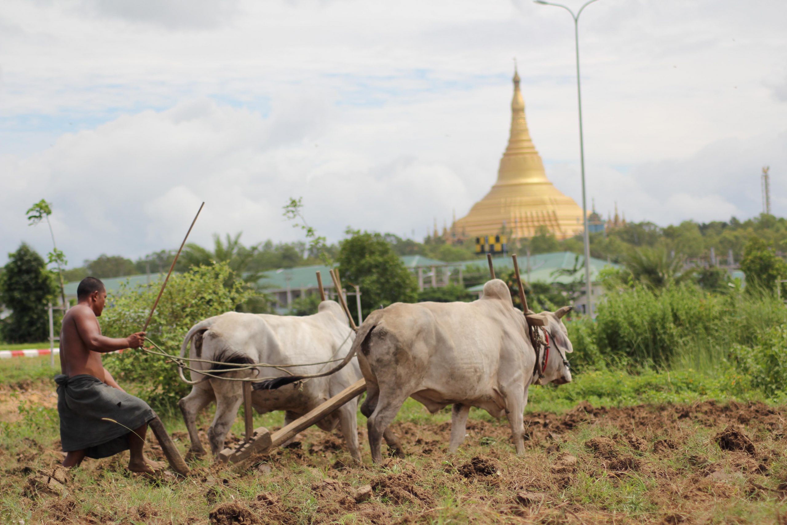 Burma's farmers fret as weather grows more extreme- DVB